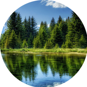 Urban Woodland Tree Care, LLC